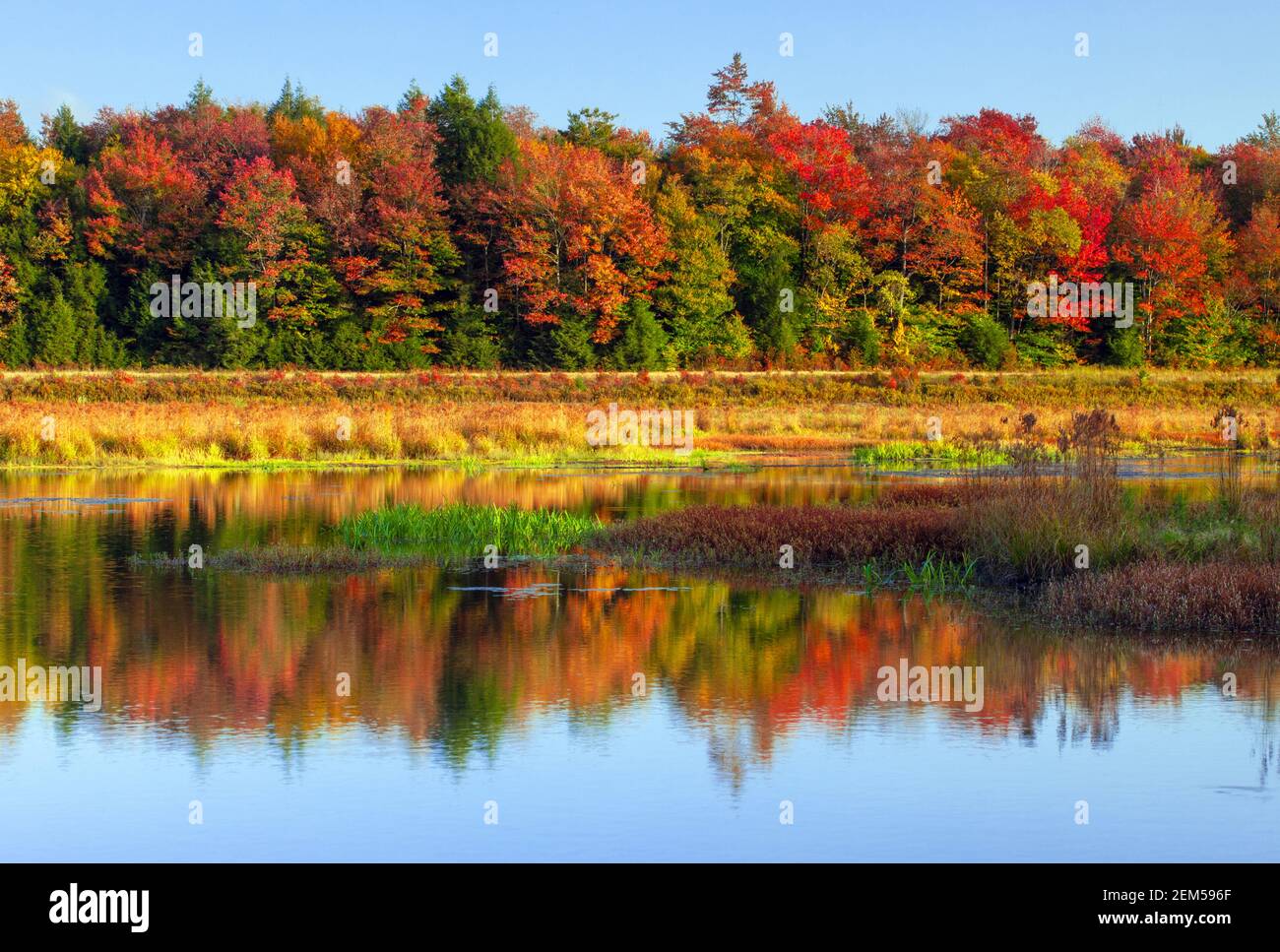Upper Klondike Pond in Pennsylvania's Pocono Mountains was a former ...