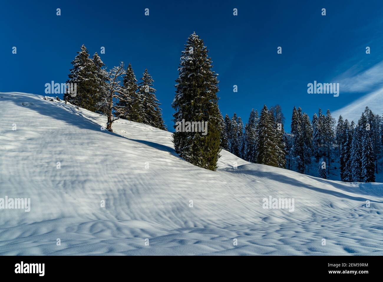 Winter wonderland in Bregenzerwald, the way between Sibratsgfäll and ...