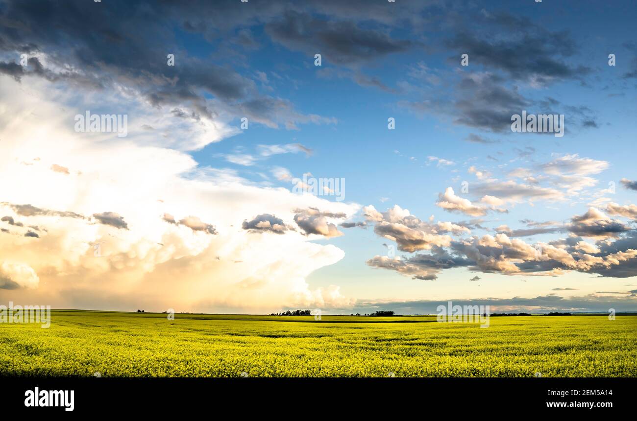 Rocky view county alberta hi-res stock photography and images - Alamy