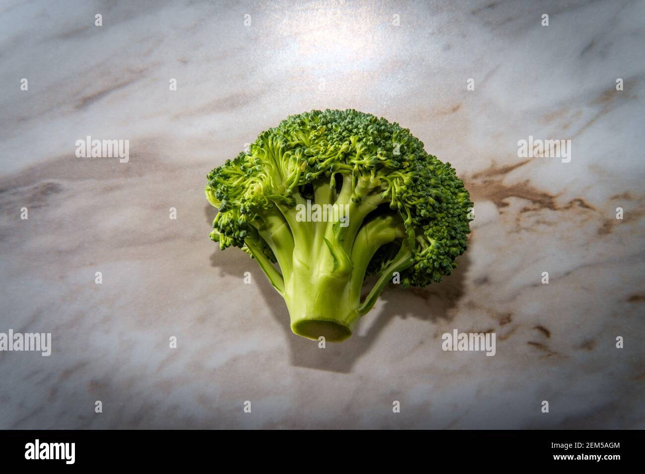 Healthy eating single sliced broccoli floret on marble kitchen table ...