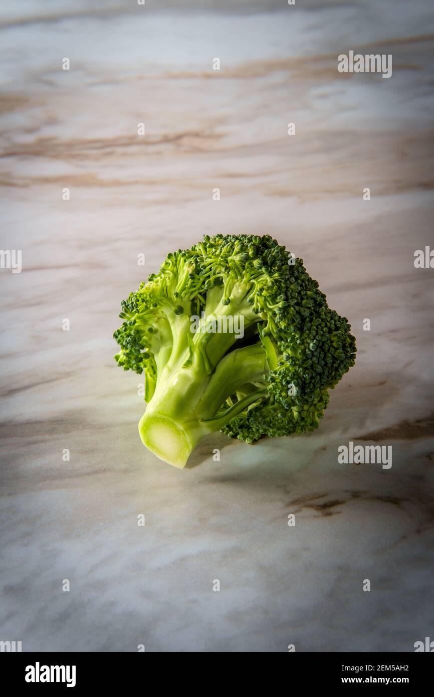 Healthy eating single sliced broccoli floret on marble kitchen table ...