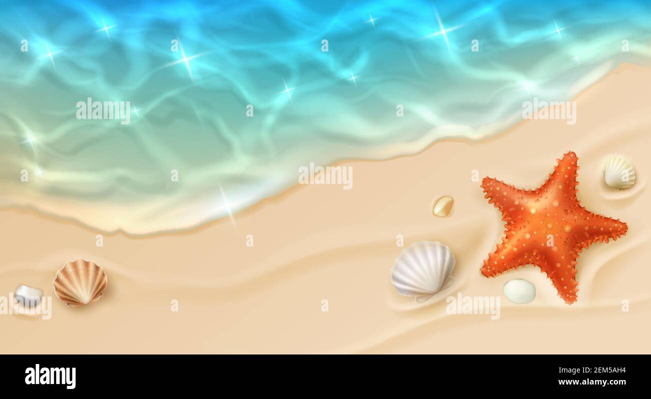 Seashells In Sand Clipart