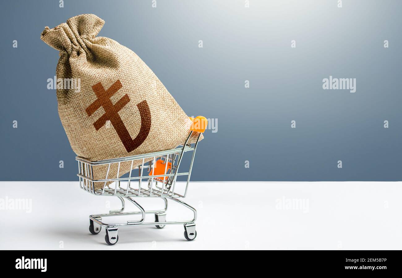 Turkish lira money bag in a shopping cart. Public budgeting. Profits ...