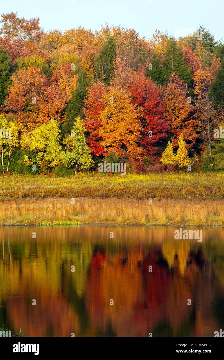 Klondike ponds hi-res stock photography and images - Alamy