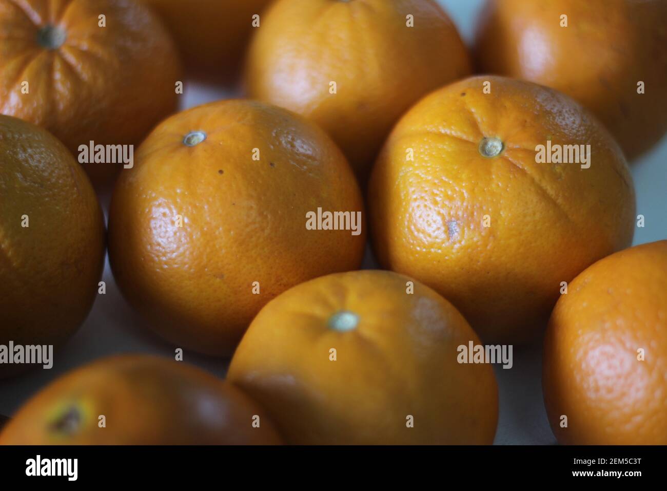 Kinnows is a hybrid fruit which looks like Orange. It is a high yield ...