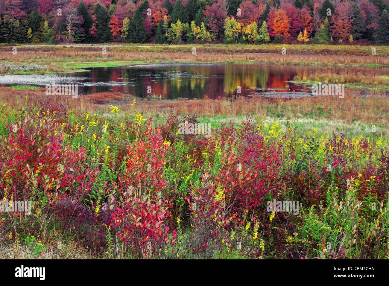 Upper Klondike Pond in Pennsylvania's Pocono Mountains was a former ...