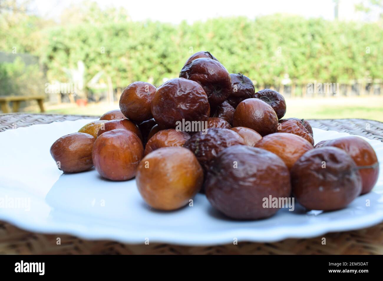 Indian Jujube High Resolution Stock Photography and Images - Alamy