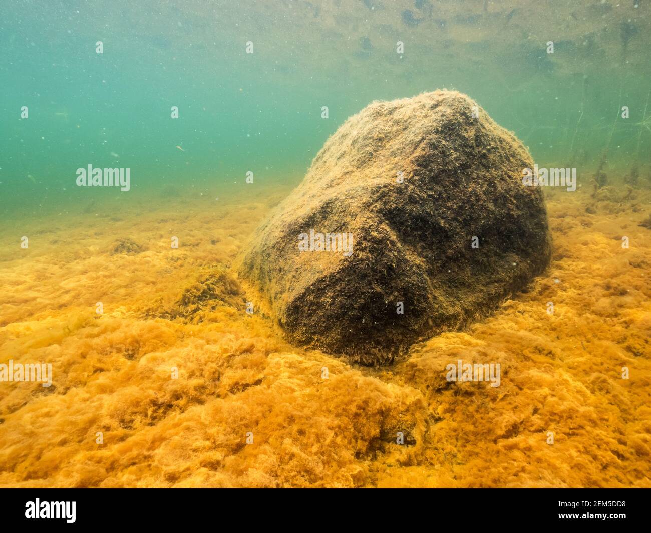 Stone on rusty lake bottom near groundwater source Stock Photo - Alamy