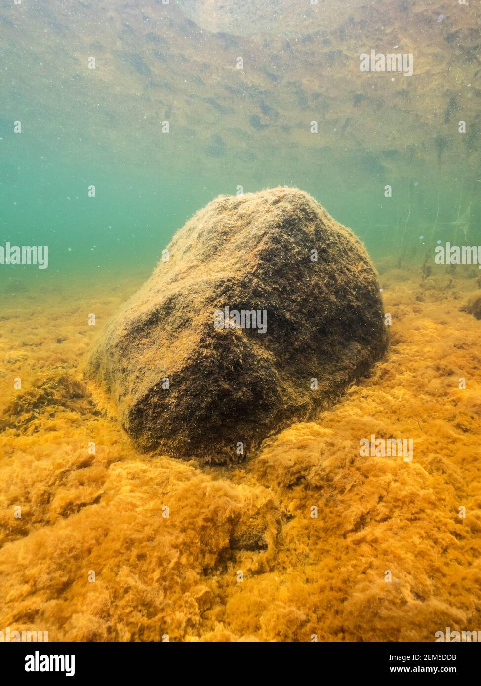 Stone on rusty lake bottom near groundwater source Stock Photo - Alamy