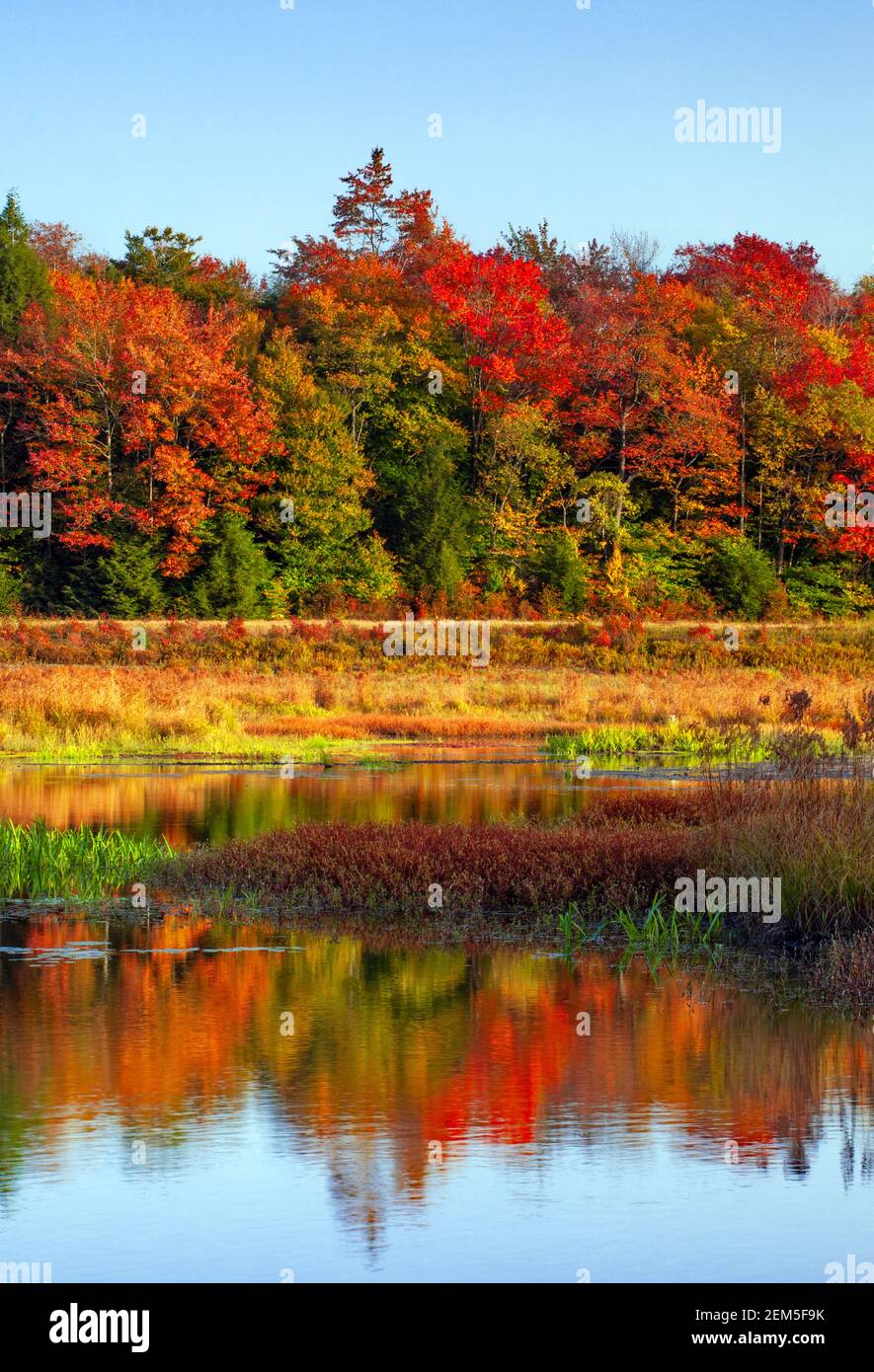 Upper Klondike Pond in Pennsylvania's Pocono Mountains was a former ...