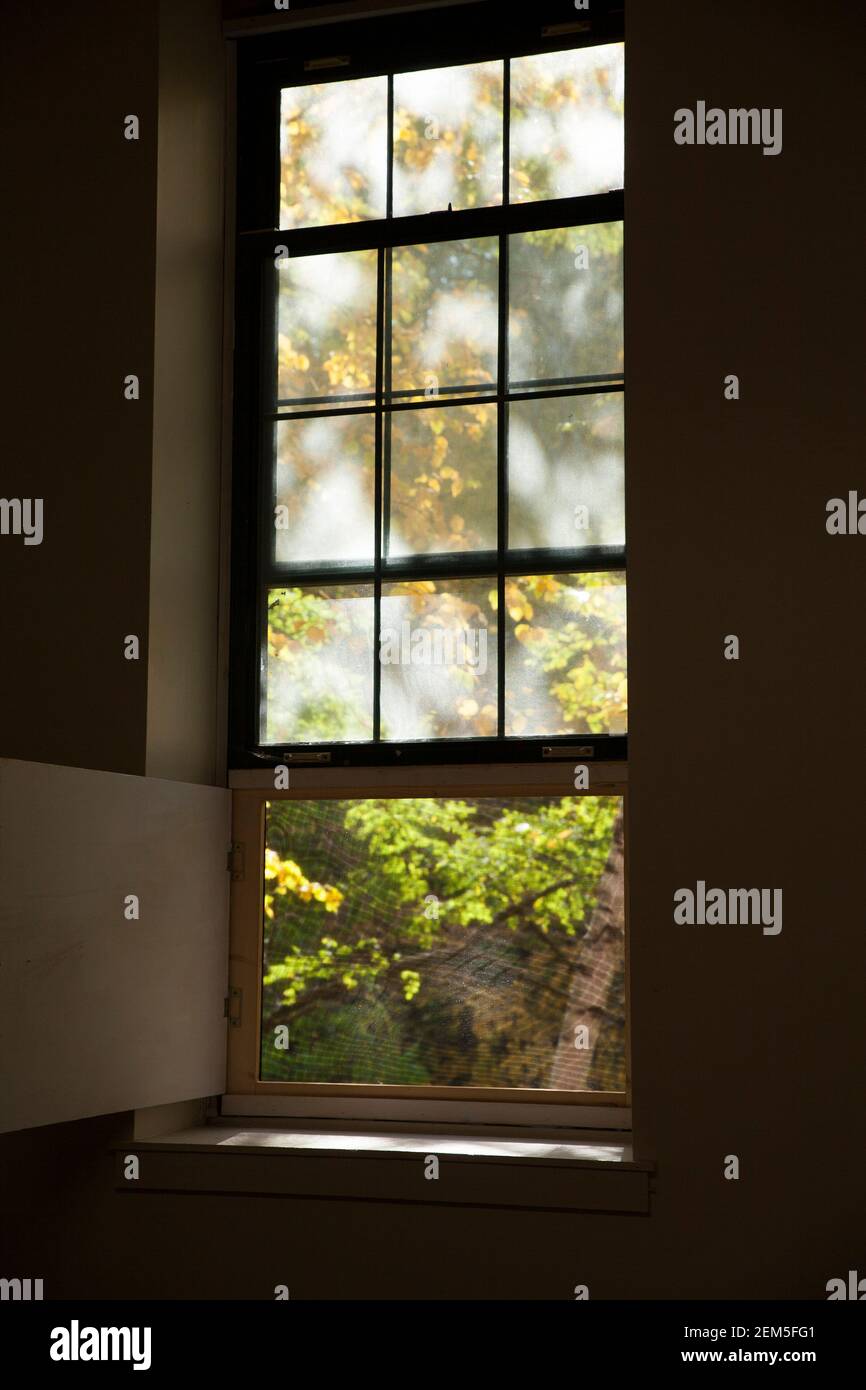 A window is open to the outdoors Stock Photo - Alamy