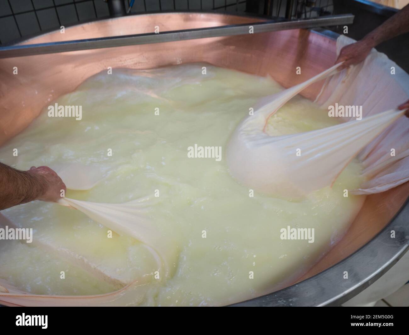 cooking and making cheese in factory Stock Photo - Alamy