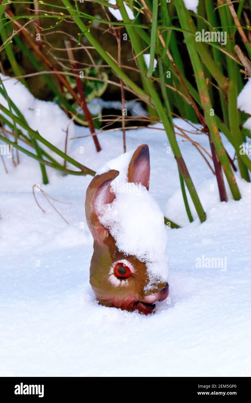 Plastic head cover hi-res stock photography and images - Alamy