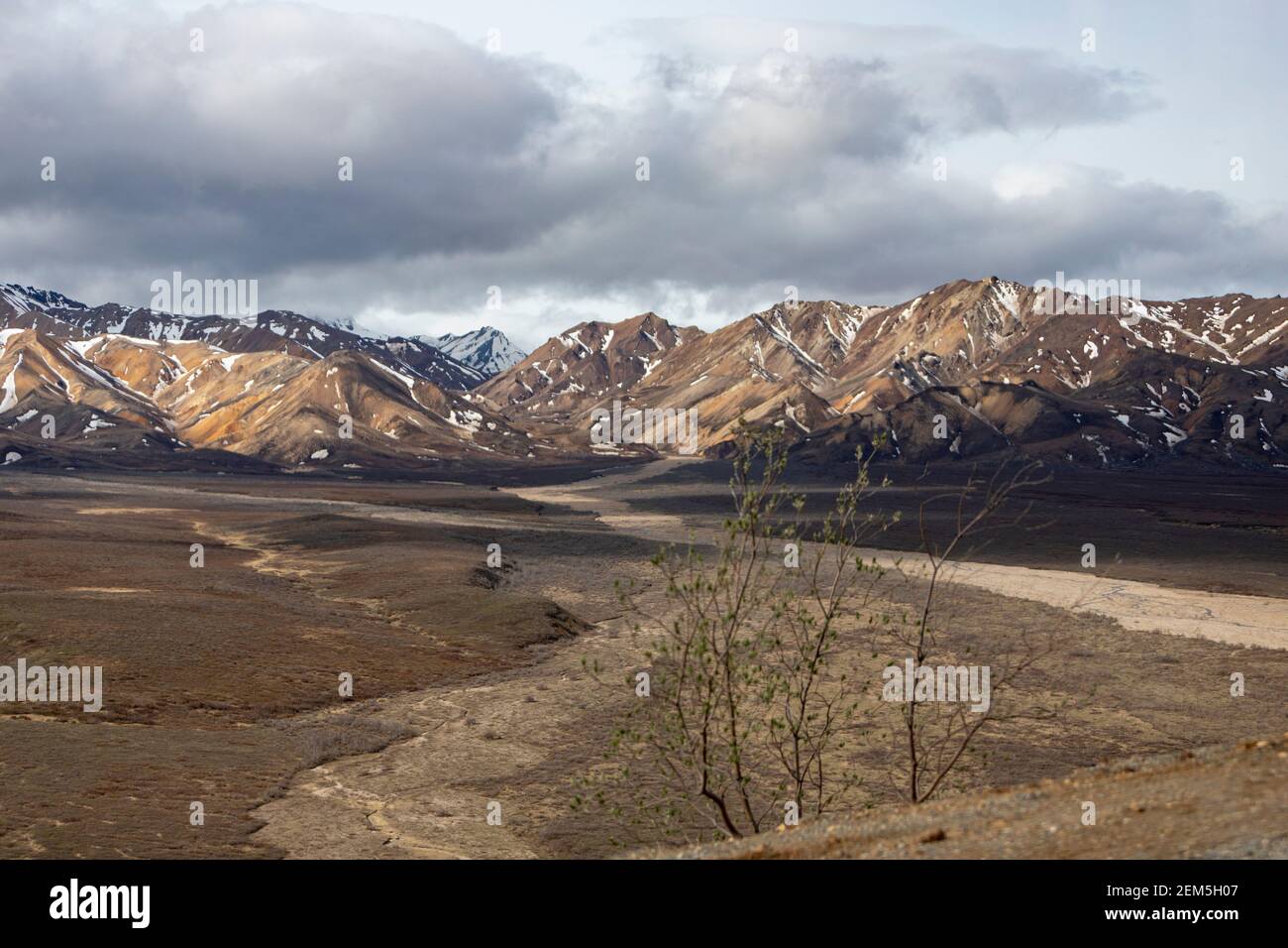 Denali park landscape stills hi-res stock photography and images - Alamy