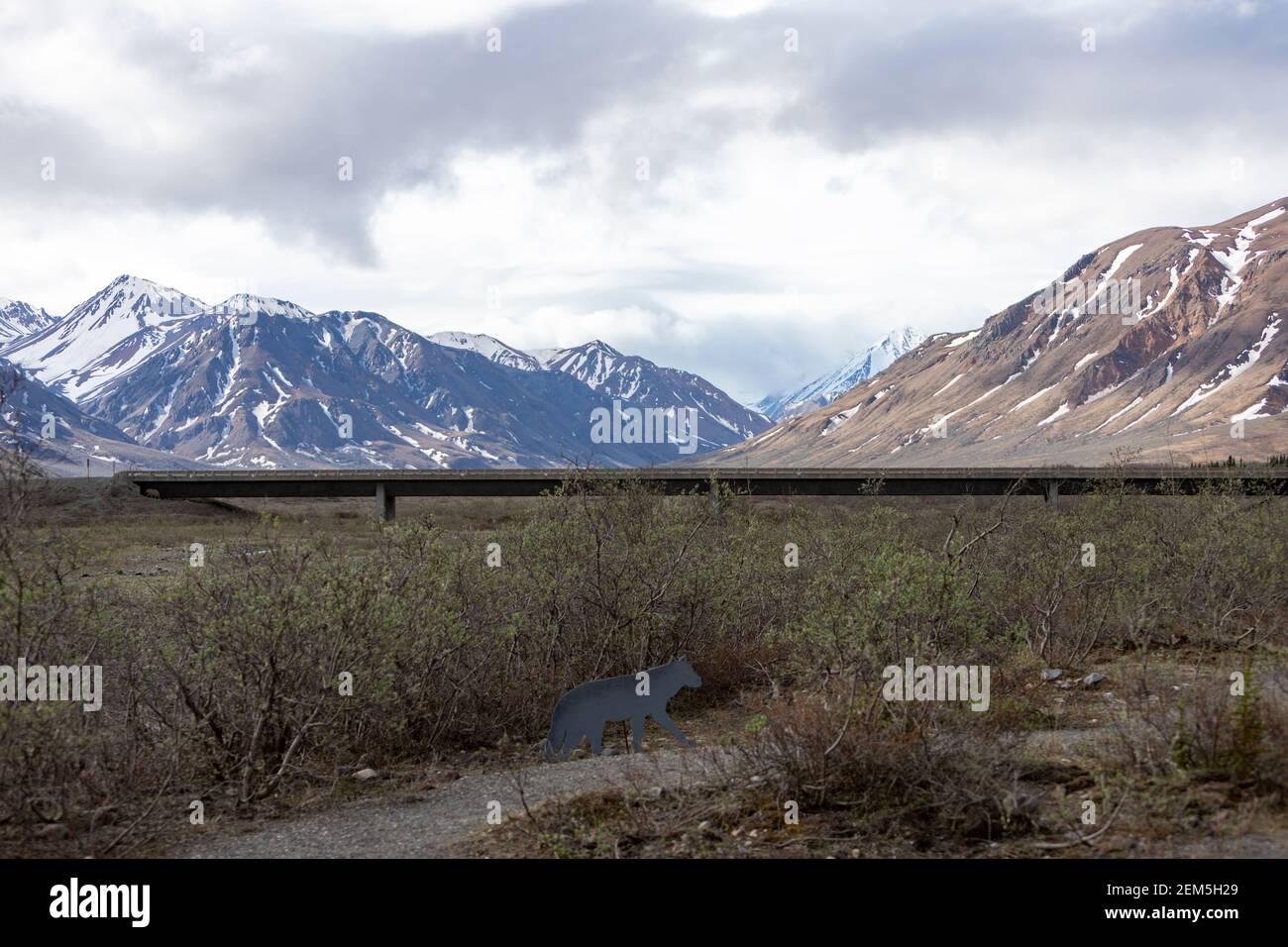Denali Park Landscape still Stock Photo - Alamy