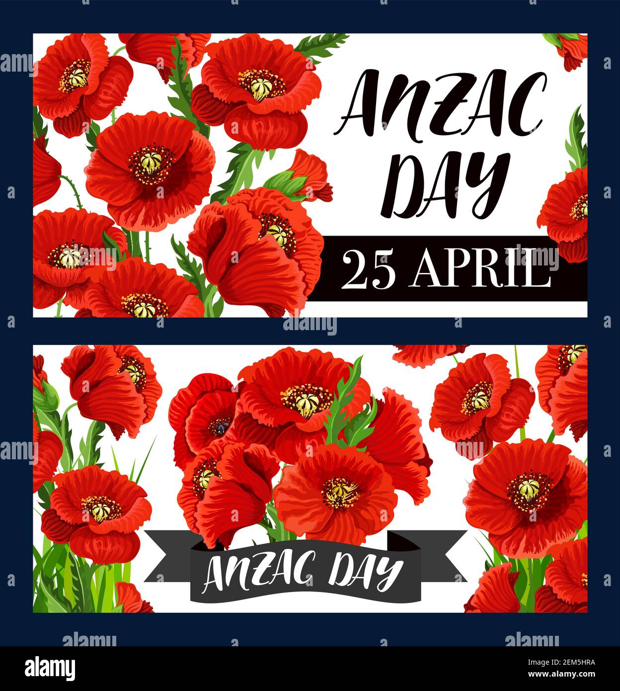 Anzac Day poppy flowers vector design of Australian and New Zealand ...