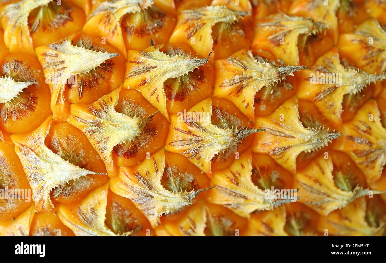 Hard skin fruit hi-res stock photography and images - Alamy