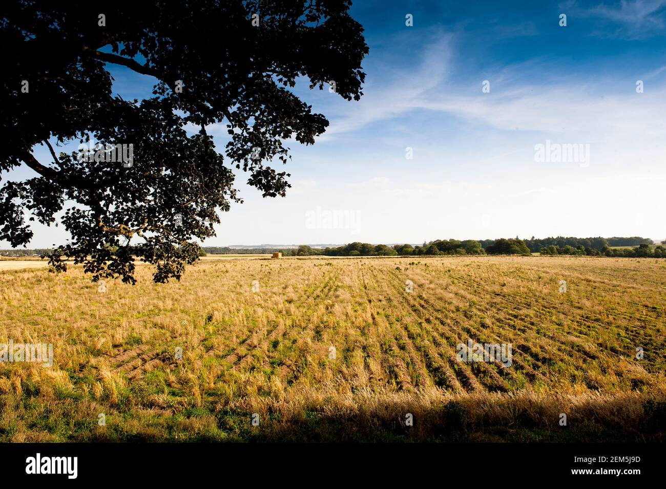 Angus scotland landscape hi-res stock photography and images - Alamy