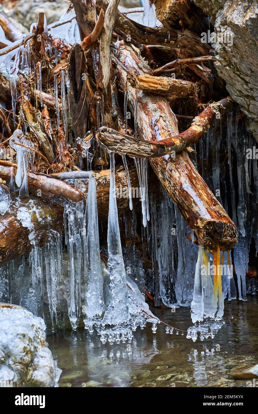 Water flows through icicles frozen hi-res stock photography and images ...