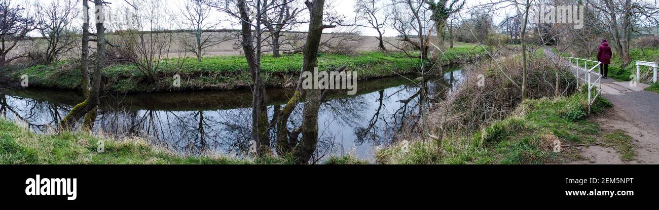 Trees reflected in River Tyne, Haddington Stock Photo - Alamy