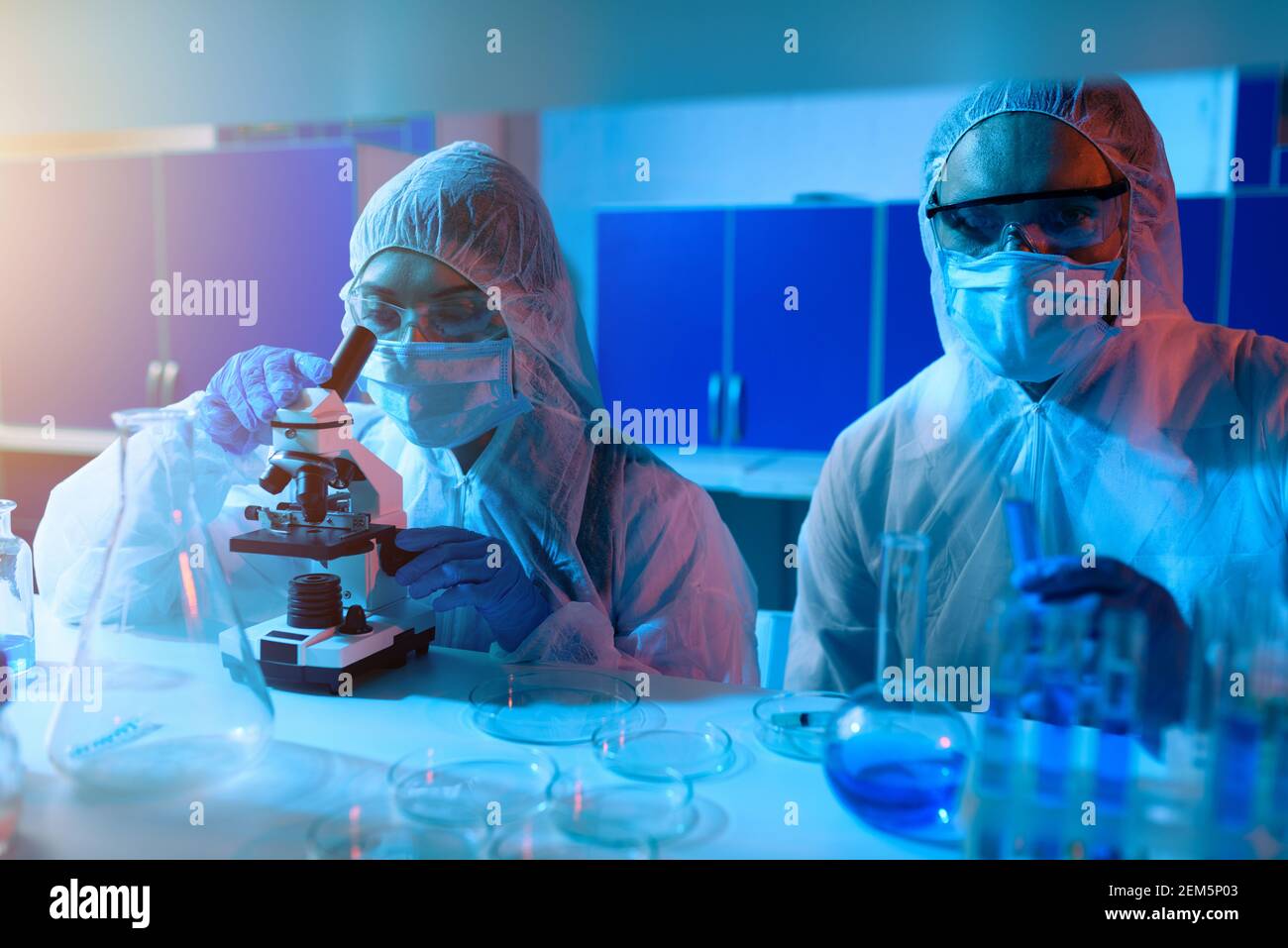 Doctor in the laboratory analyzes samples under a microscope ...