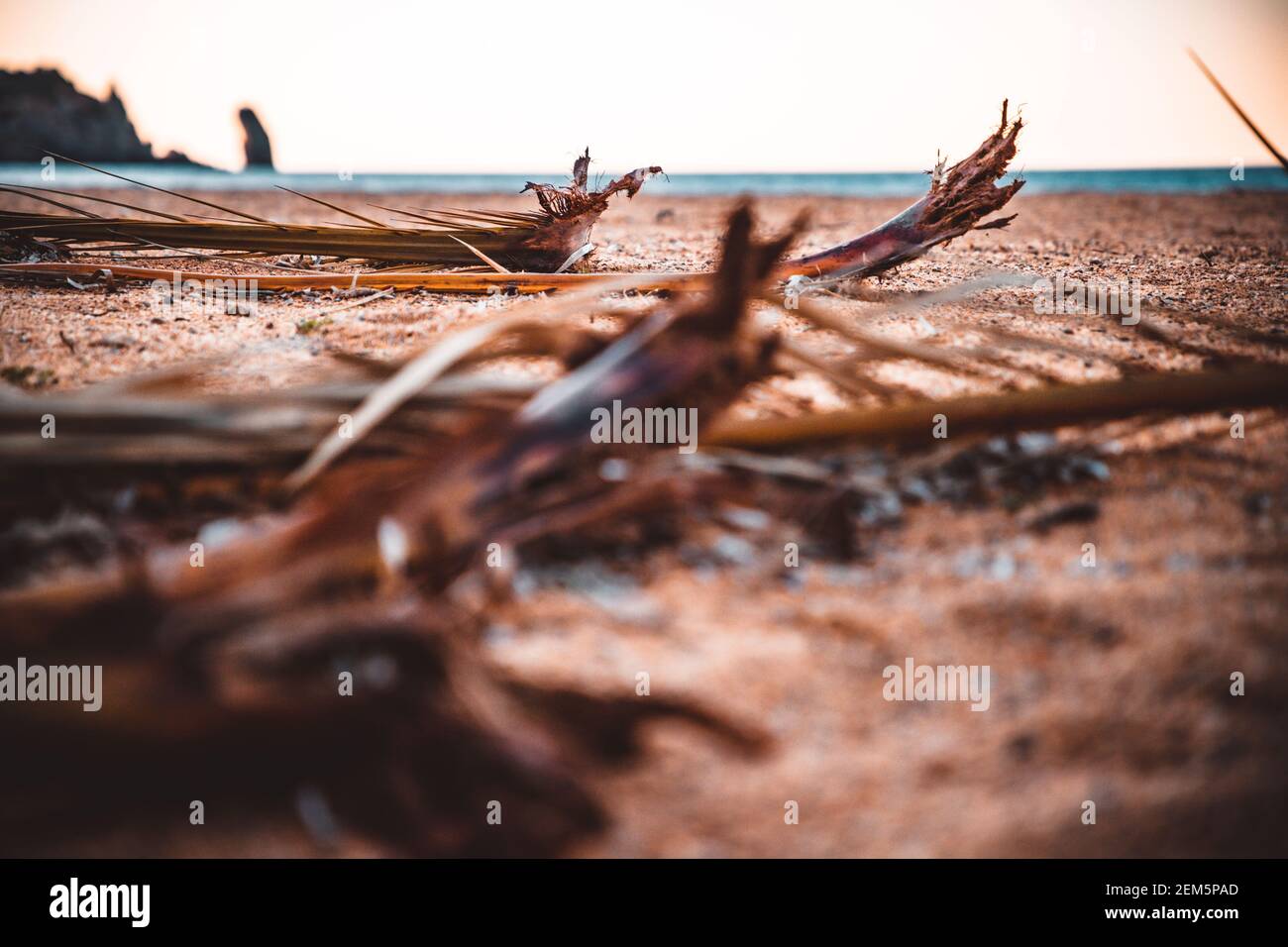 Sand Sailor High Resolution Stock Photography and Images - Alamy