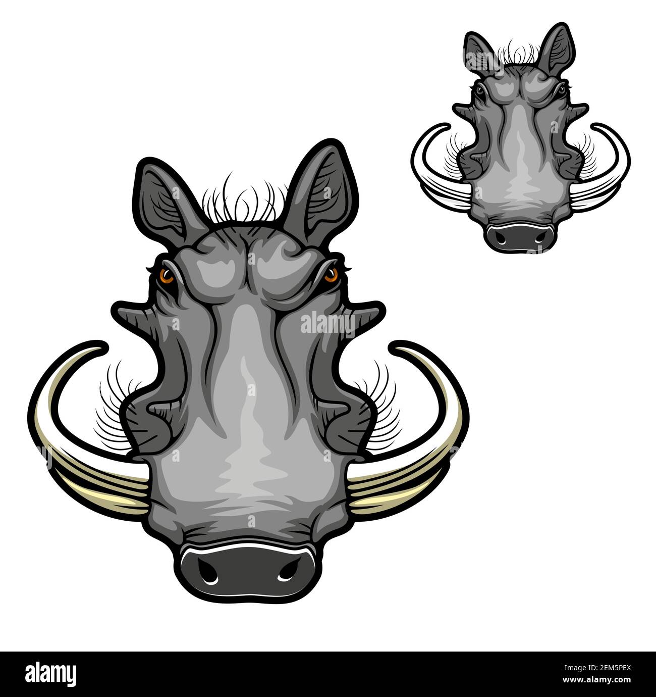 Pig tusks Stock Vector Images - Alamy