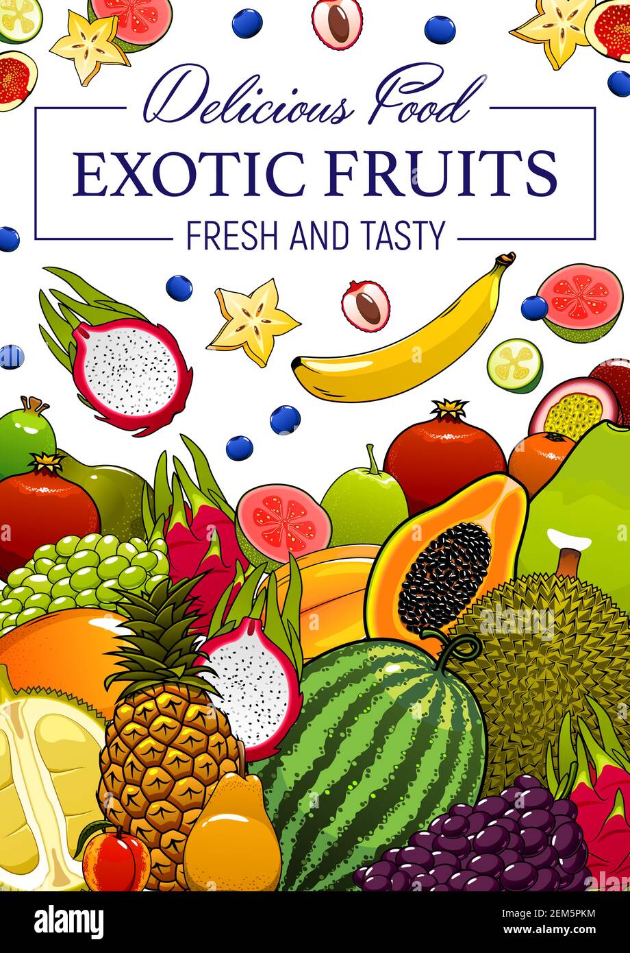 Fresh tropical fruits. Vector pineapple, banana or grapes, pomegranate ...