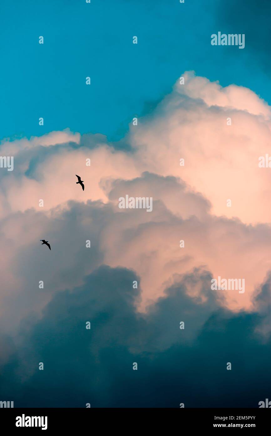 Big blue sky Stock Photo - Alamy