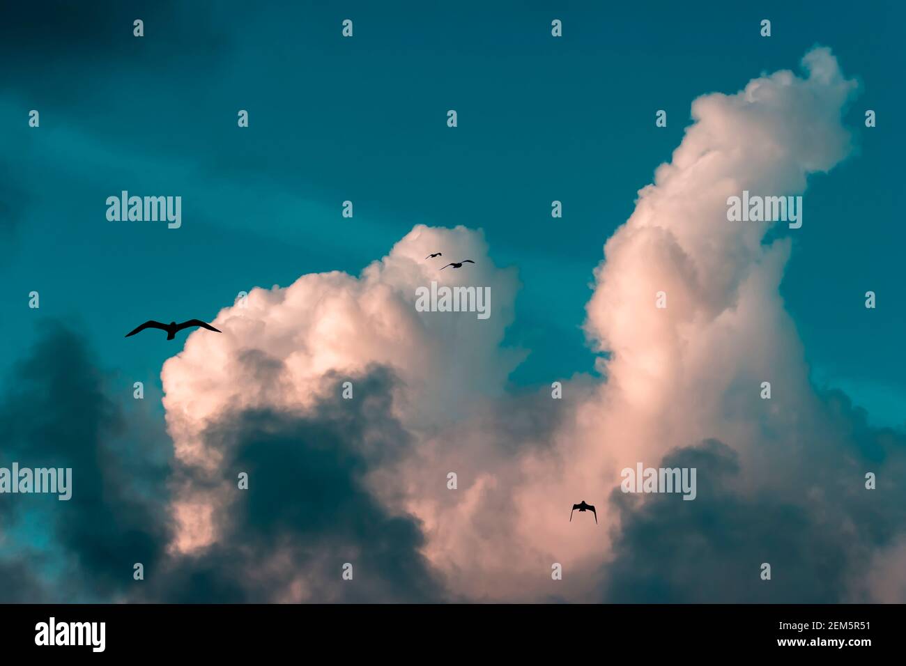 Big blue sky Stock Photo - Alamy