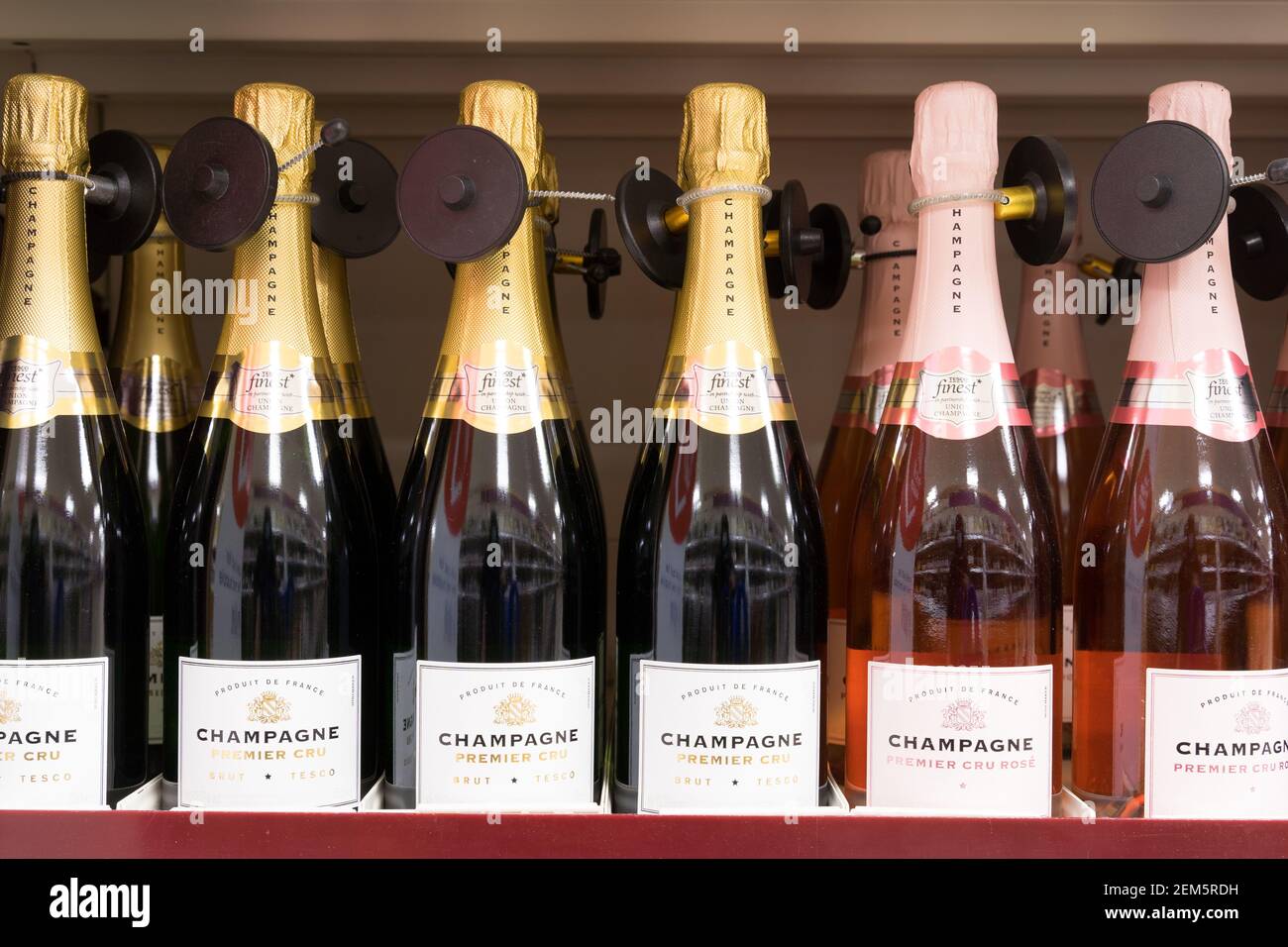 bottles of champagne cru rose line up in a row on display for sale on ...