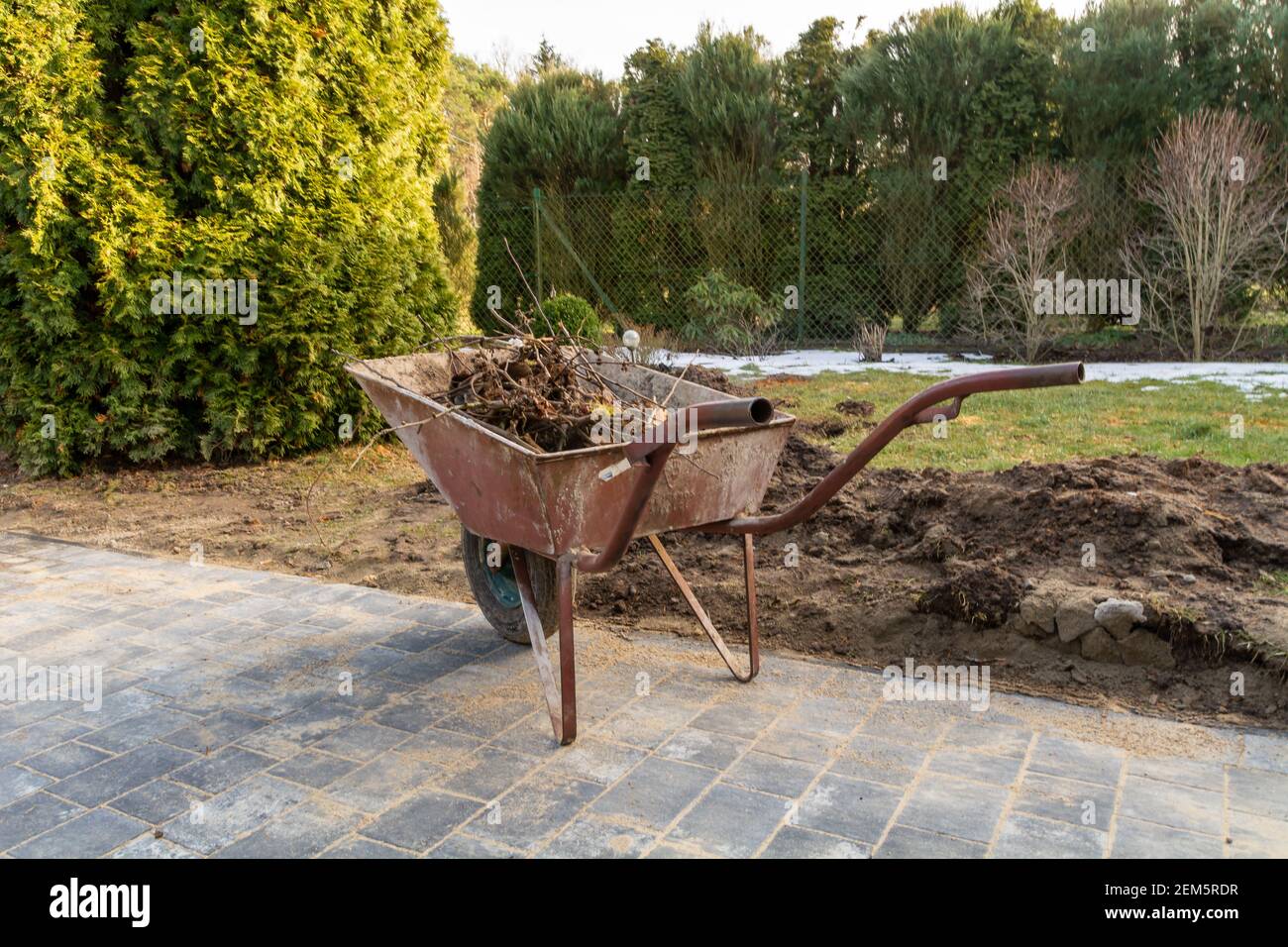 Spring cleaning forest hi-res stock photography and images - Alamy