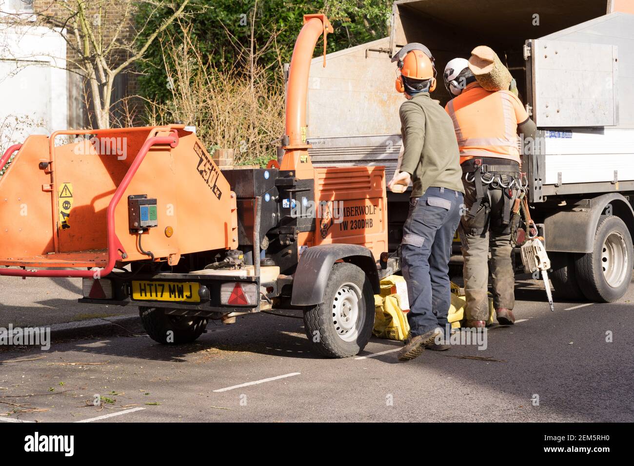 tree surgent loading the truck Timberwolf with the offcuts Stock Photo ...