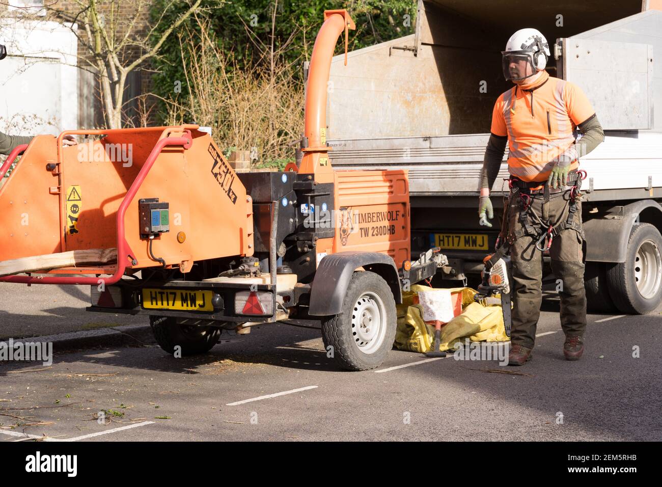 tree surgent loading the truck Timberwolf with the offcuts Stock Photo ...