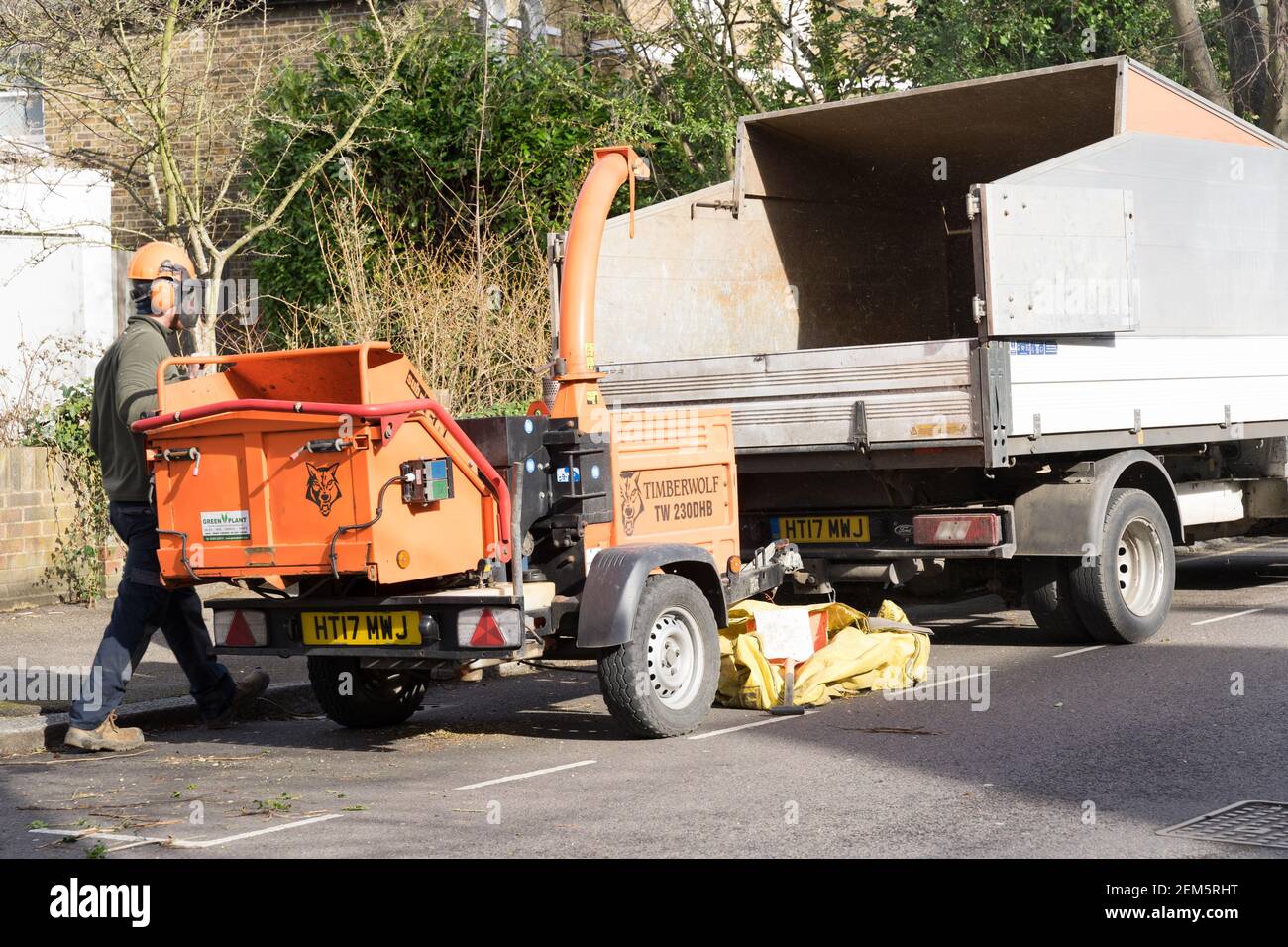 tree surgent loading the truck Timberwolf with the offcuts Stock Photo ...