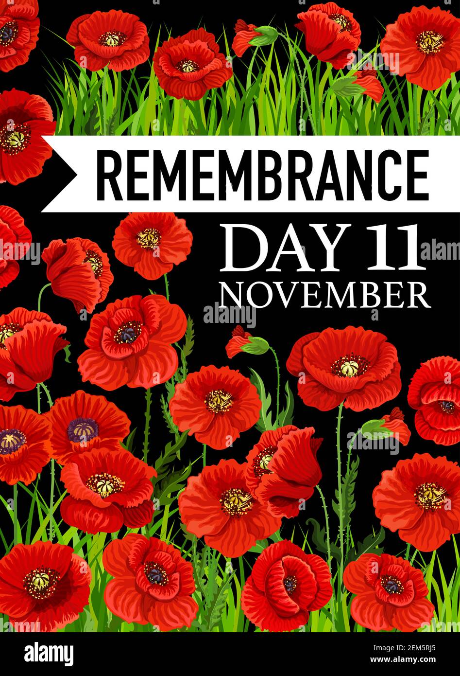 Remembrance Day poster, 11 November vector greeting card with poppy ...