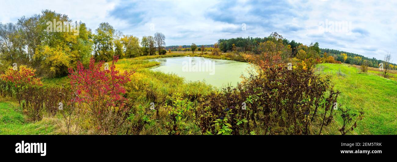 Autumn Landscape. Park in Autumn. The bright colors of autumn in the ...