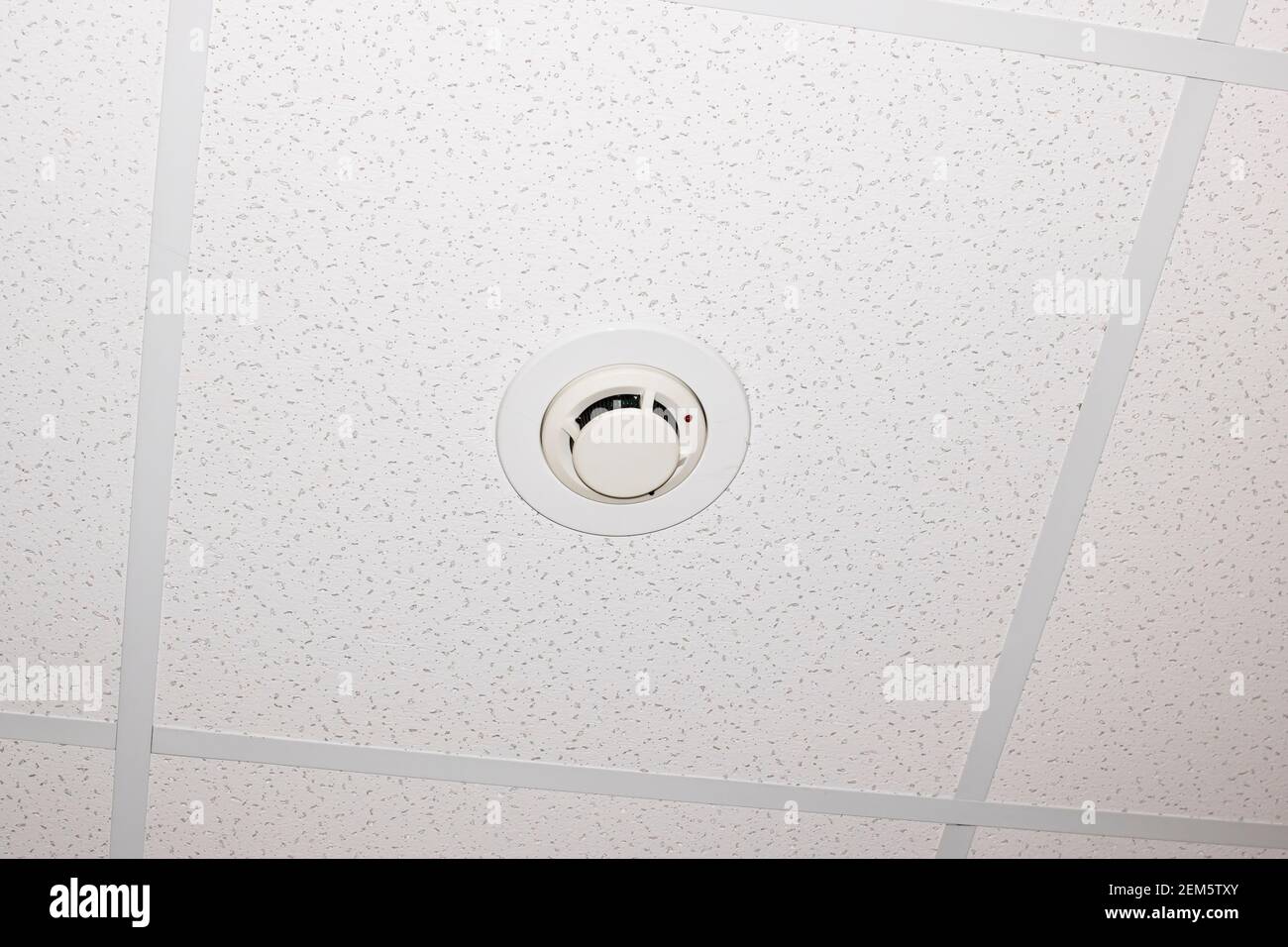 Firefighter warning on the white ceiling close up Stock Photo - Alamy