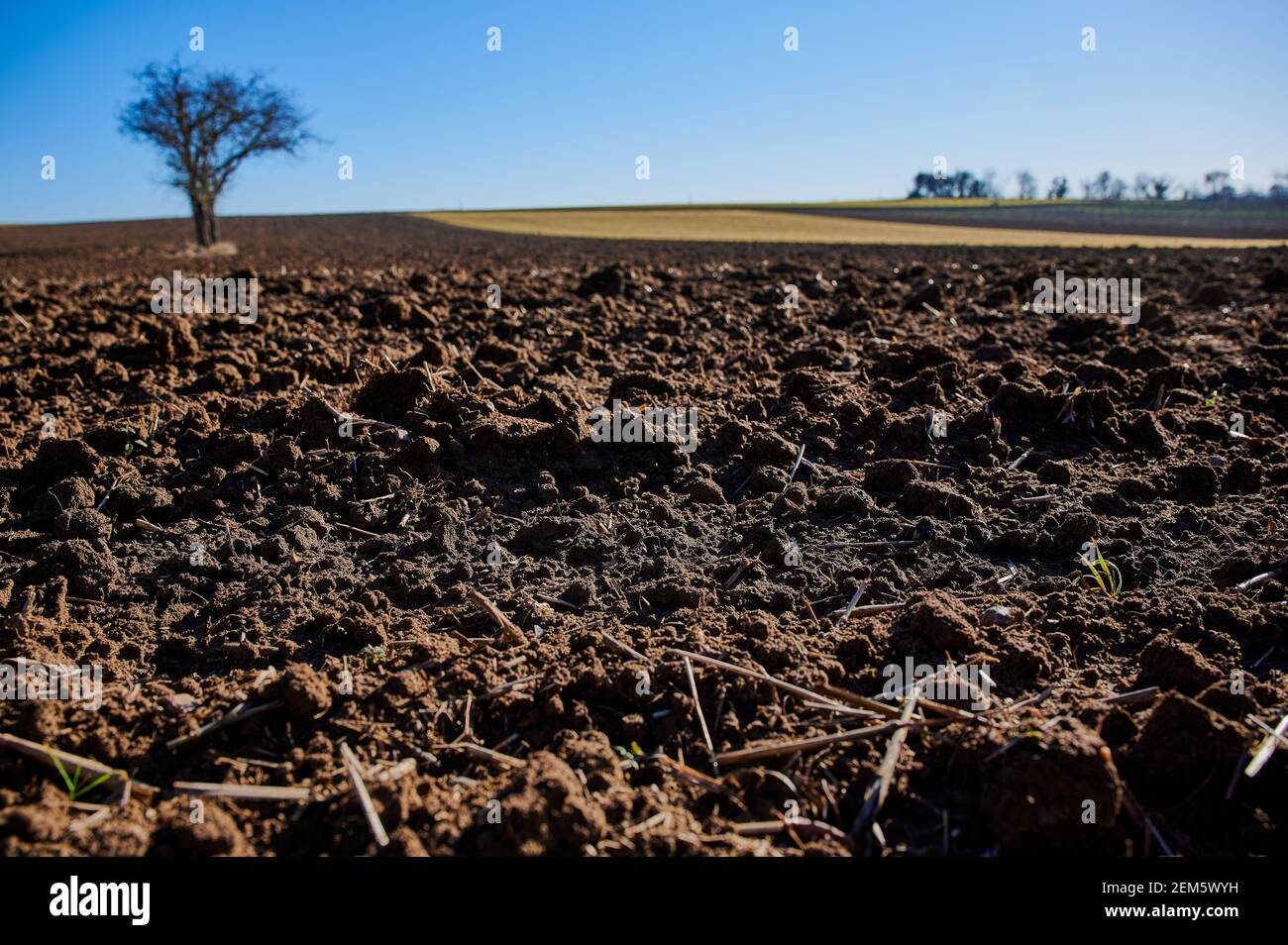Agricultural nature hi-res stock photography and images - Alamy