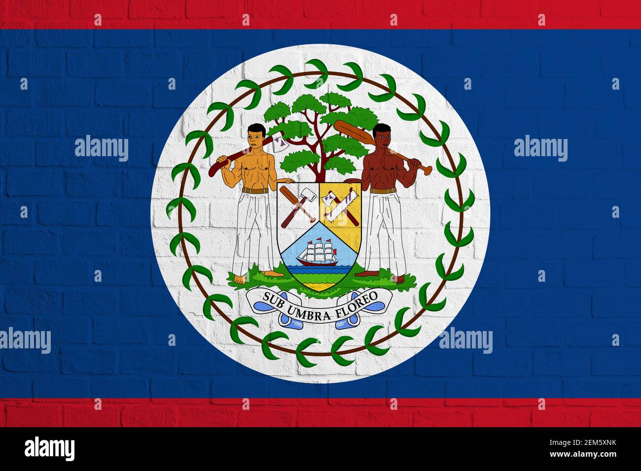 Flag of Belize. Brick wall texture of the flag of Belize Stock Photo ...