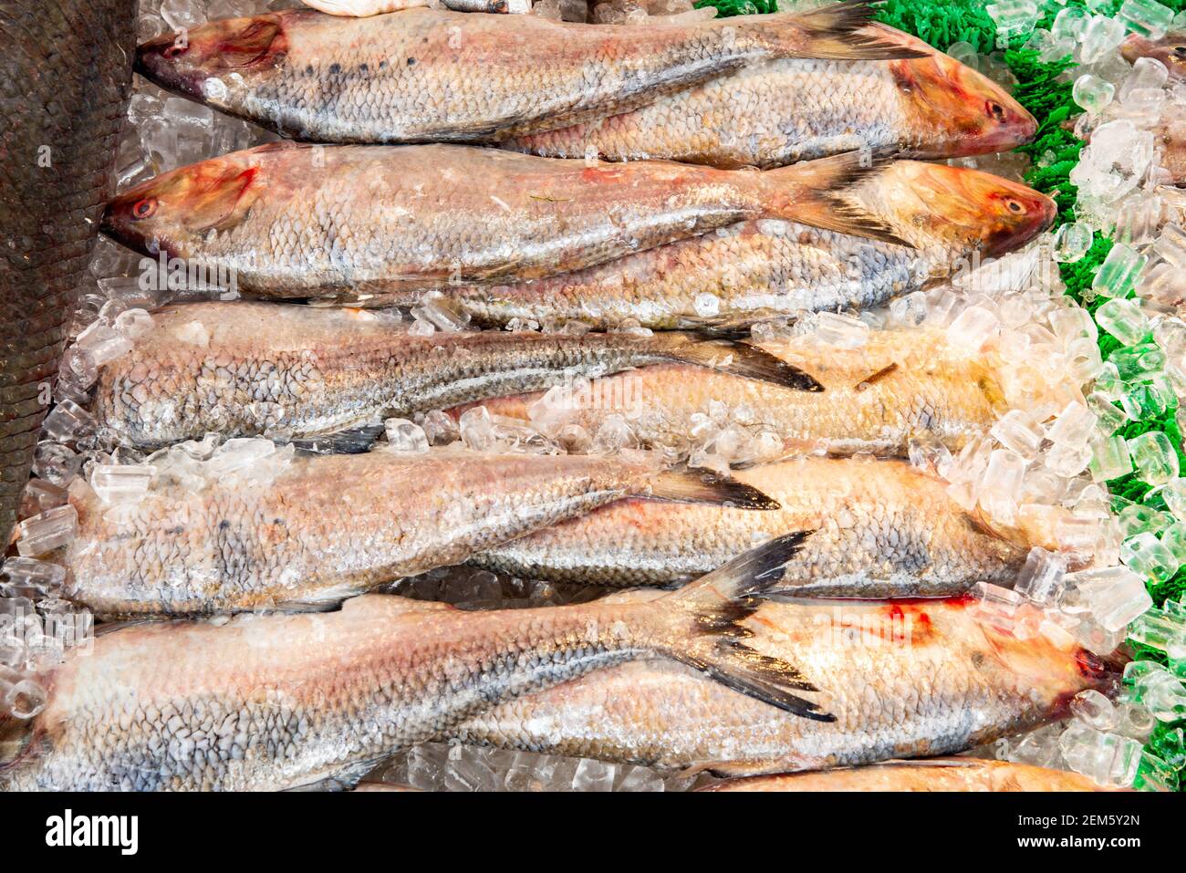 Fish on display. Fish Market, Washington DC Stock Photo - Alamy