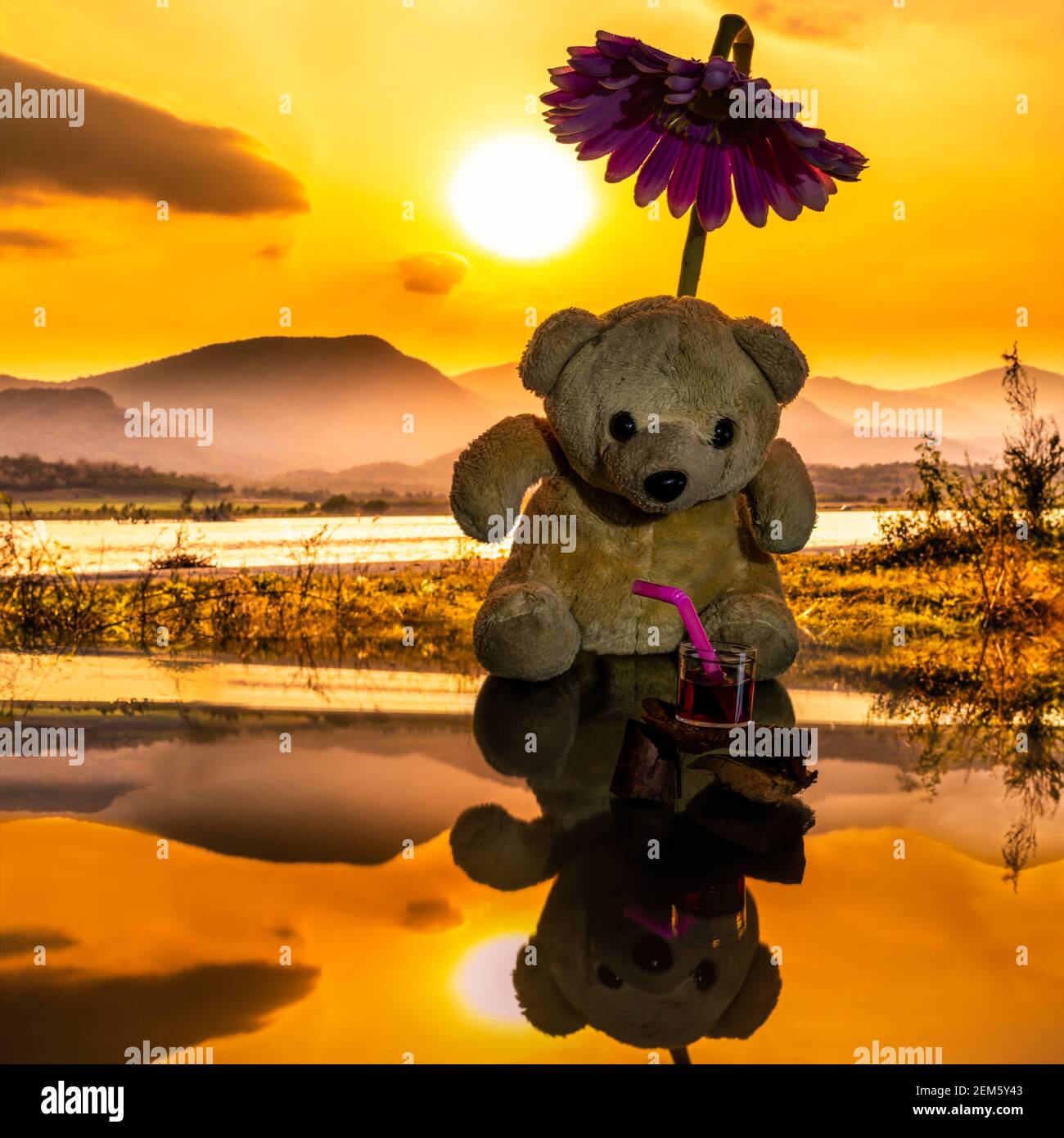 teddy bear on holiday Stock Photo - Alamy