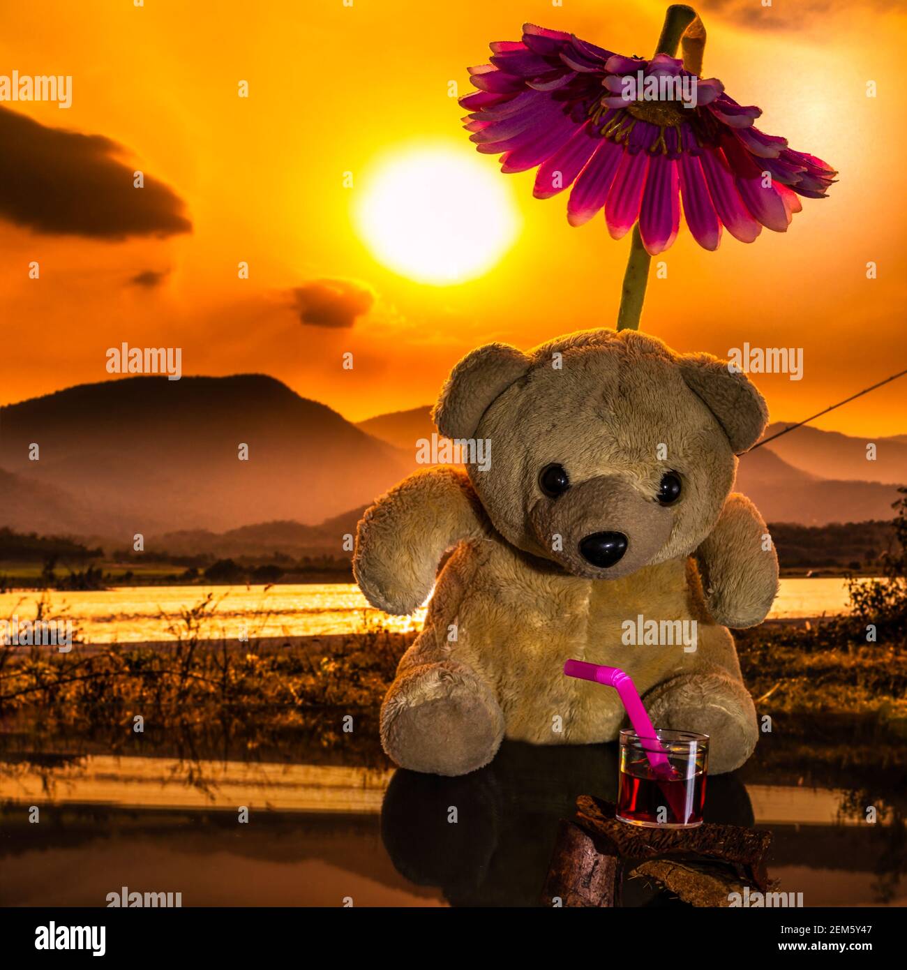 teddy bear on holiday Stock Photo - Alamy