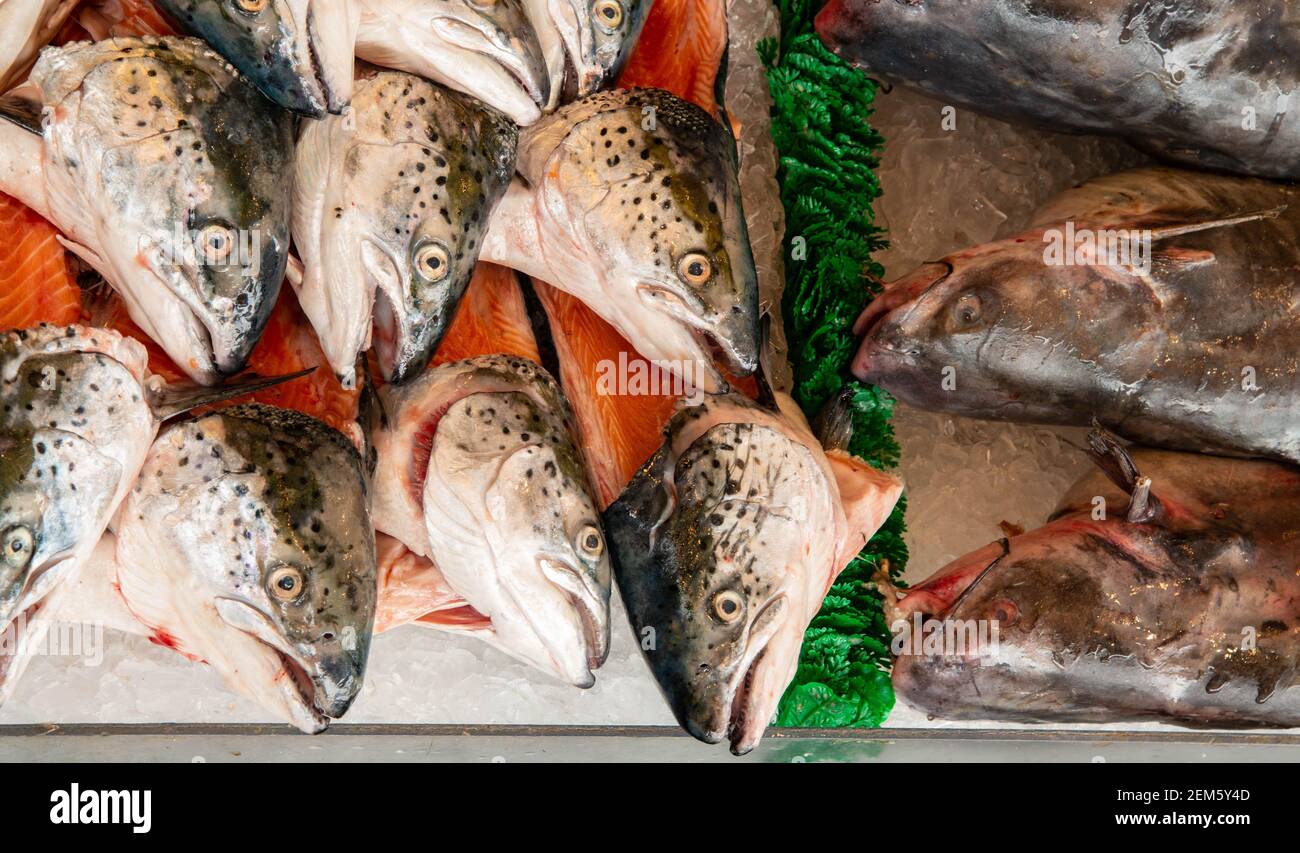 Fish on display. Fish Market, Washington DC Stock Photo - Alamy