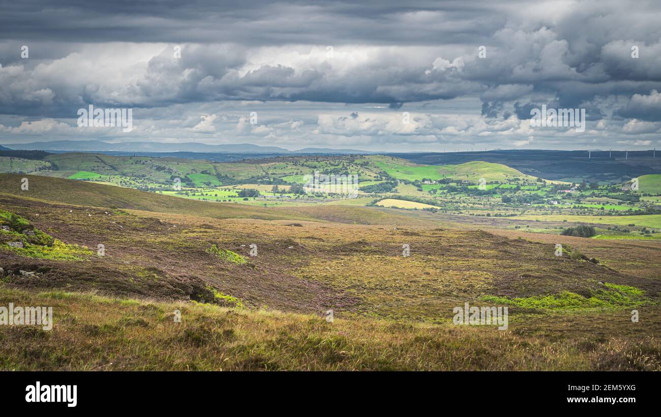 Green meadows and peat bogs with long grass, ferns and heather on hill ...