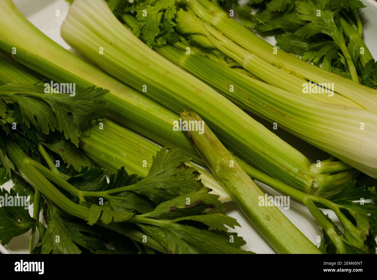 Fresh herbs isolated on white background. Celery stalk and parsley ...