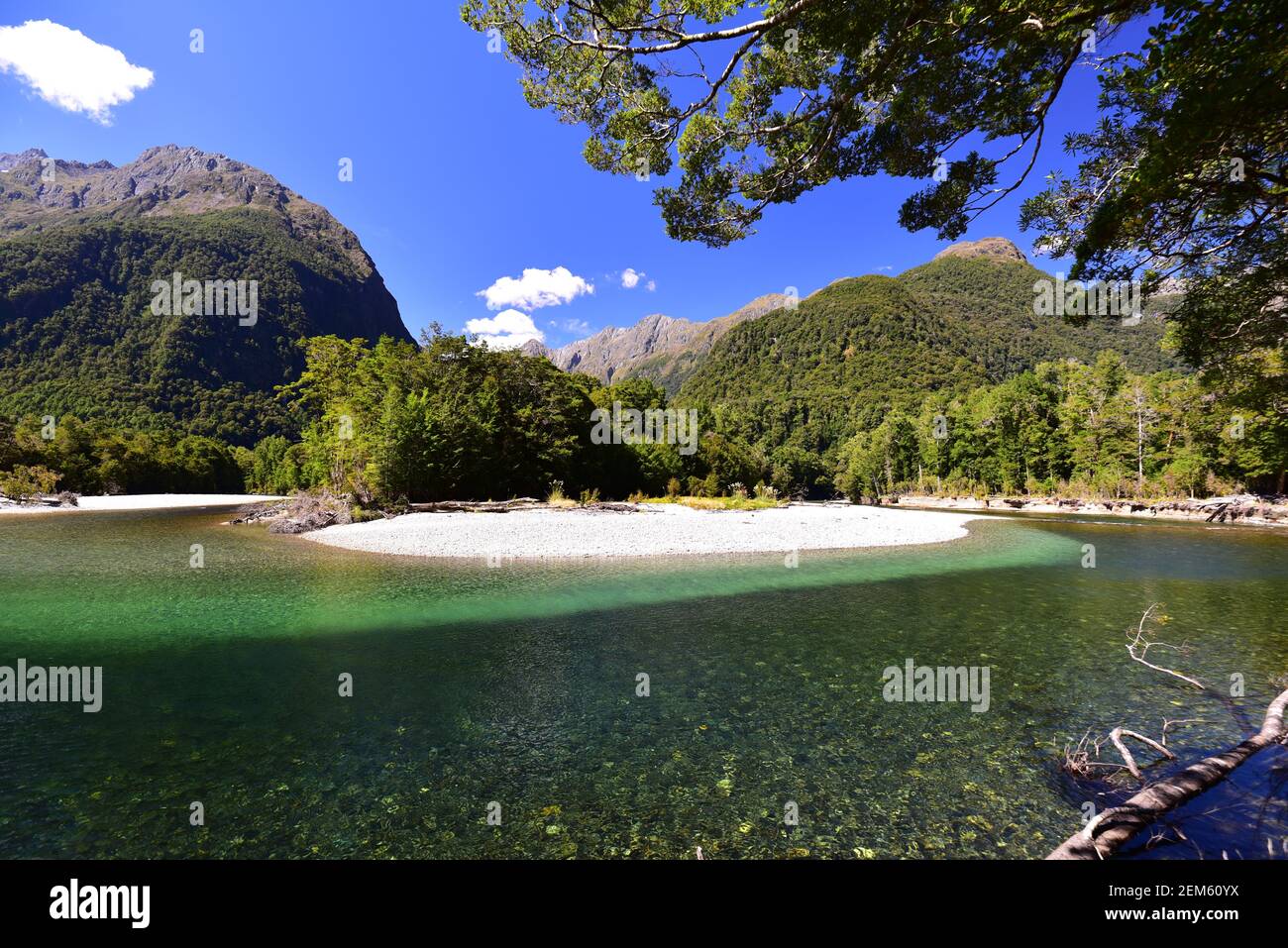 Milford track section along the Clinton River, New Zealand Stock Photo ...