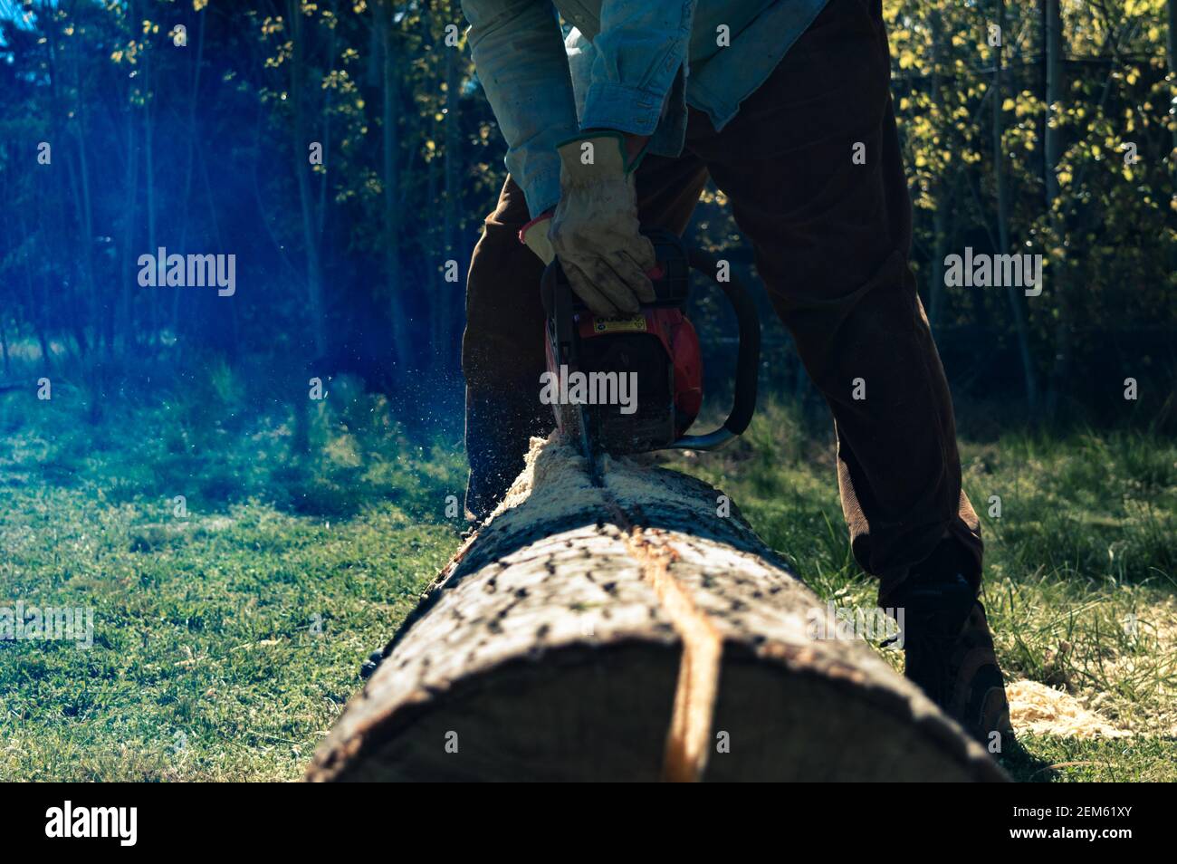 Doing hard work hi-res stock photography and images - Alamy
