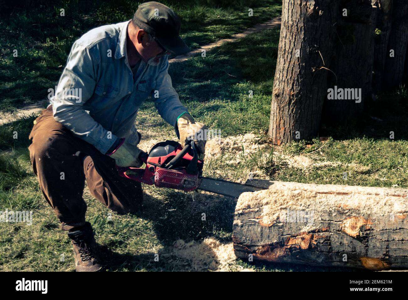 Doing hard work hi-res stock photography and images - Alamy