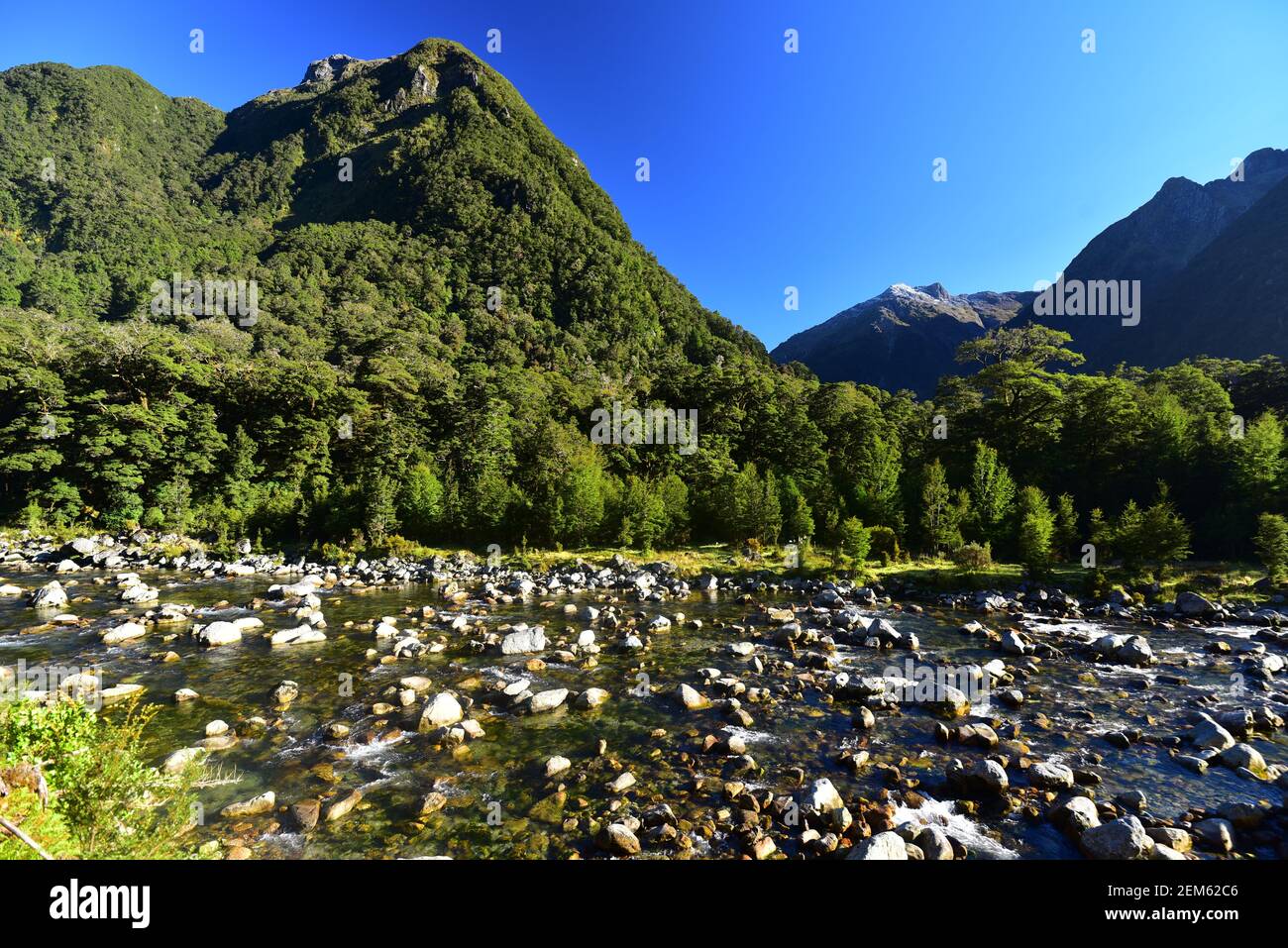 Upper Clinton Valley reflecting on the water surface, Milford track ...